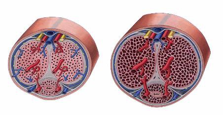 Erectile Dysfunction Treatment Mountain View | El Camino Urology